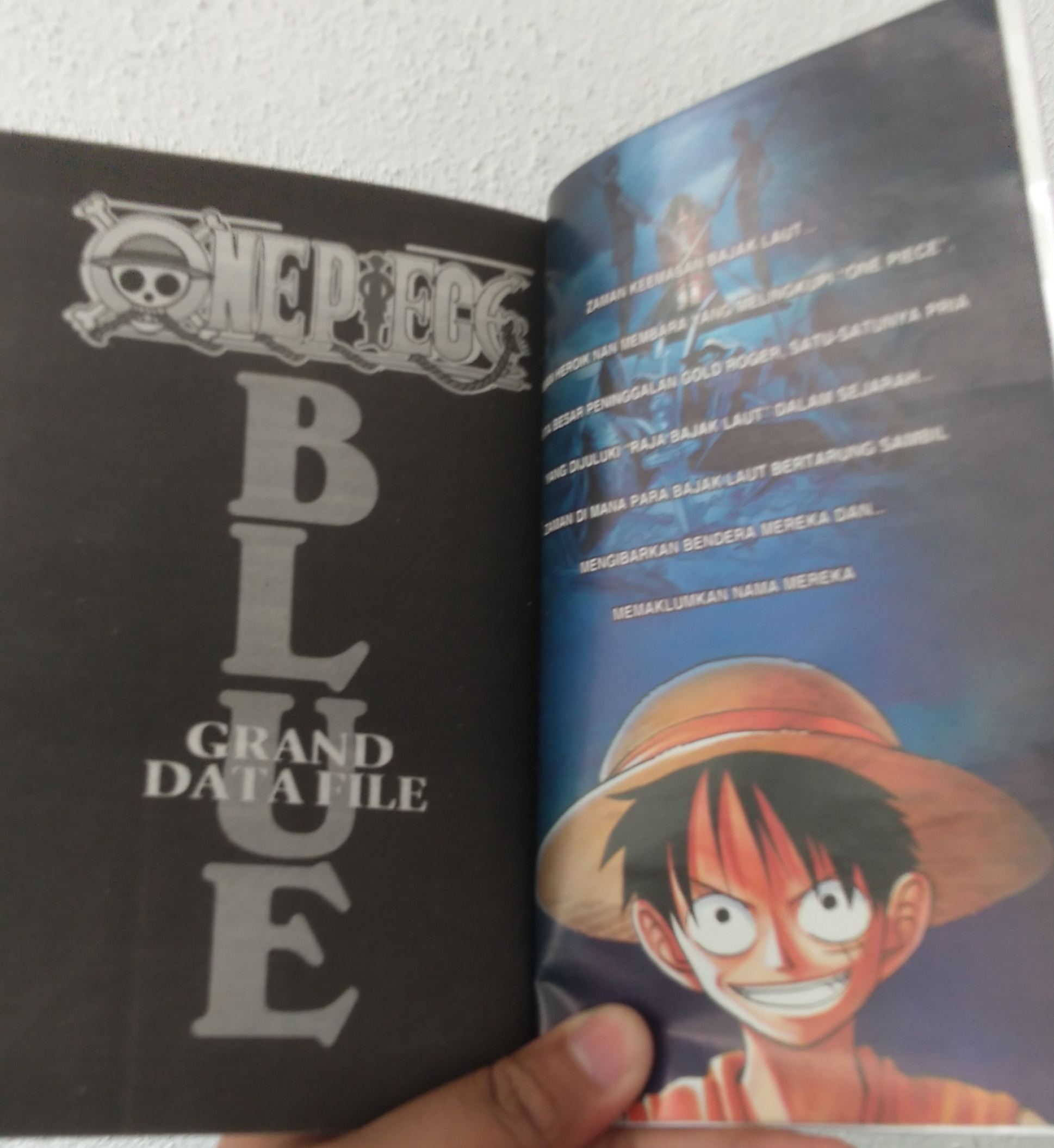 5 Databook One Piece yang Terbit di Indonesia - TITIP JEPANG