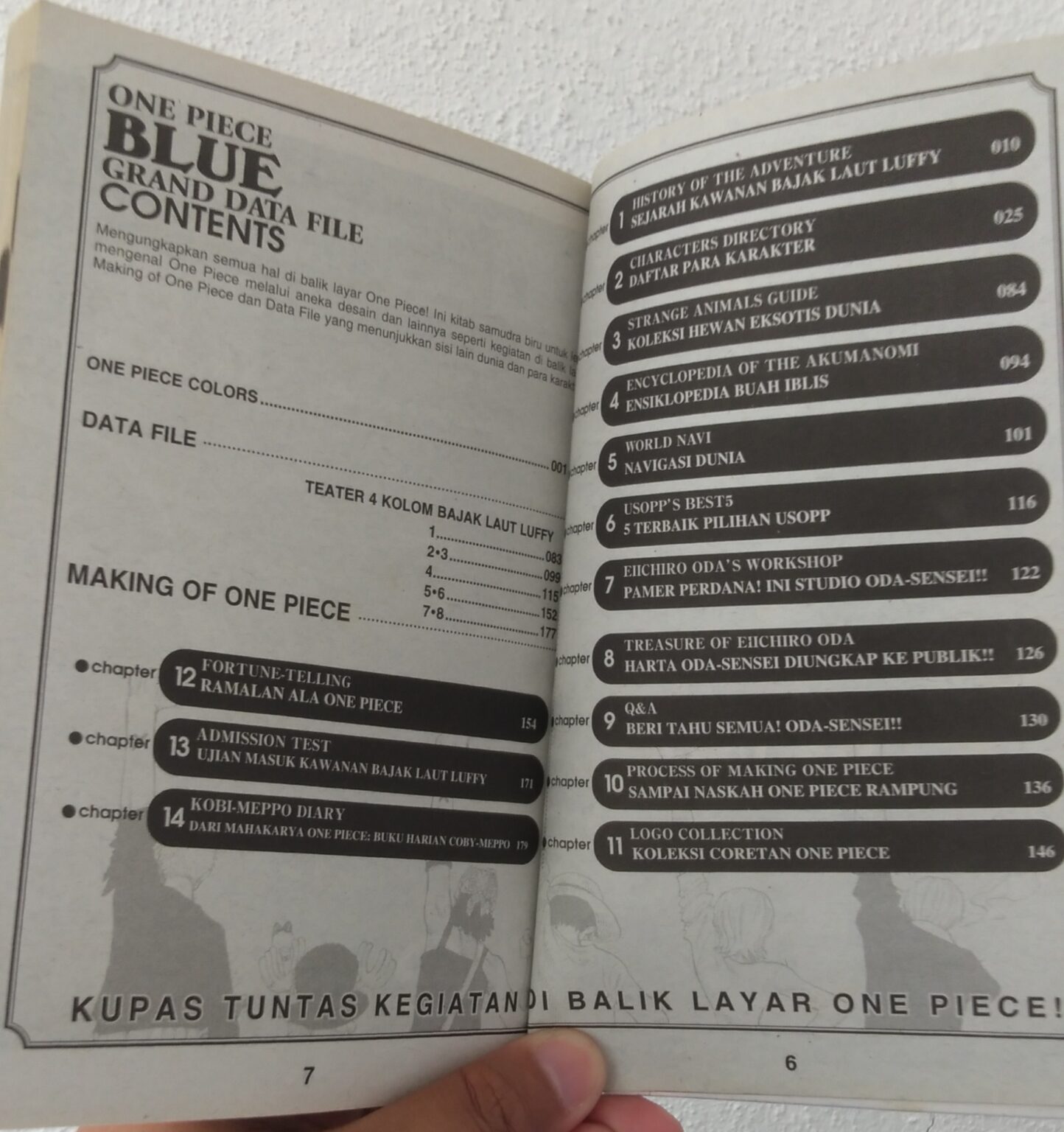 5 Databook One Piece yang Terbit di Indonesia - TITIP JEPANG