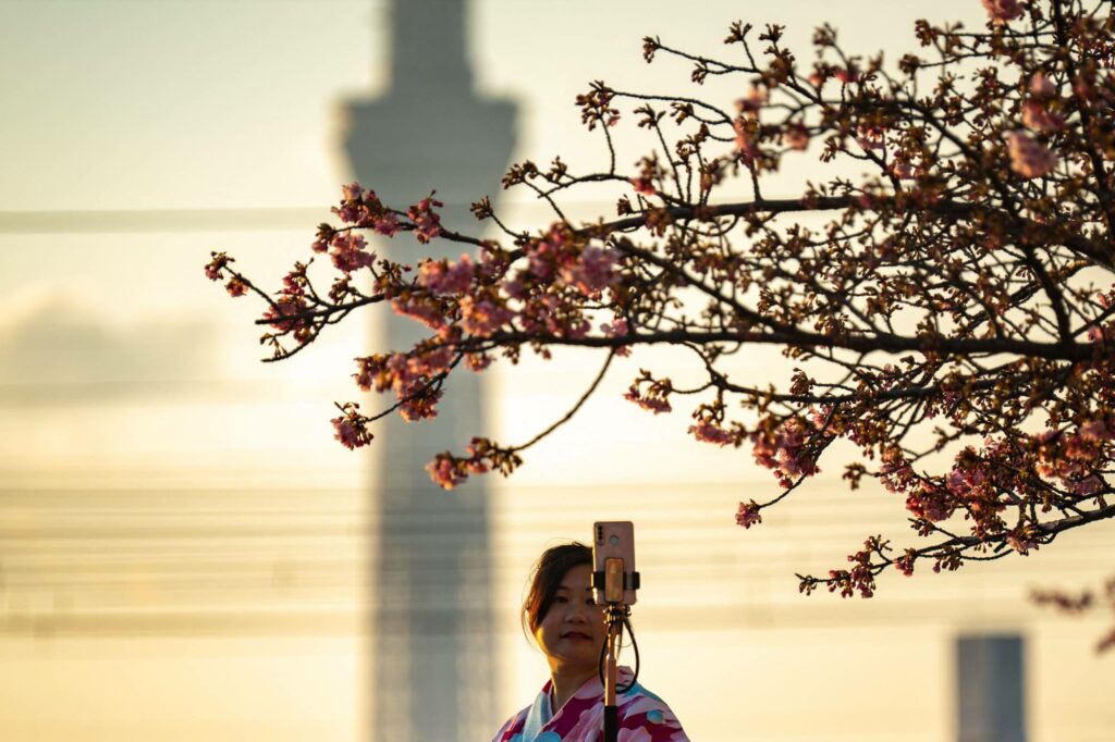 Bunga Sakura Telah Kembali, Apakah Tokyo Merayakannya? - TITIP JEPANG