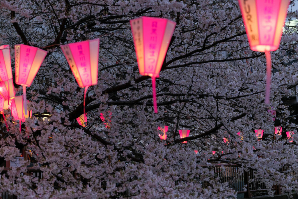 Daily Life 36 Jam di Tokyo, Ikuti Keseruan Liburan di Jepang - TITIP JEPANG