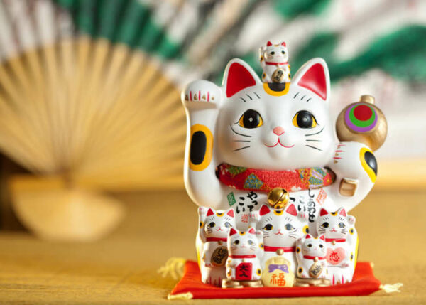 10 Ras Kucing Jepang Paling Populer - TITIP JEPANG
