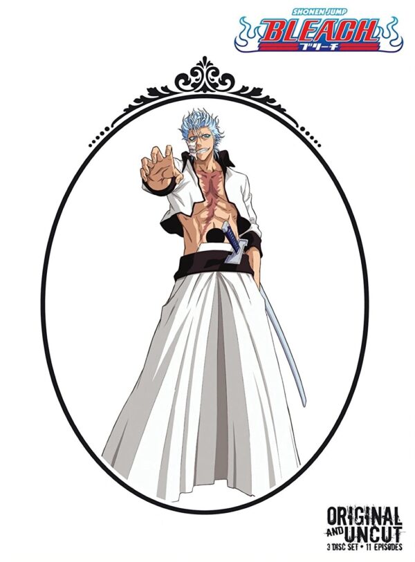 Daftar Lengkap 17 Arc Bleach Dari Awal Hingga TYBW - TITIP JEPANG