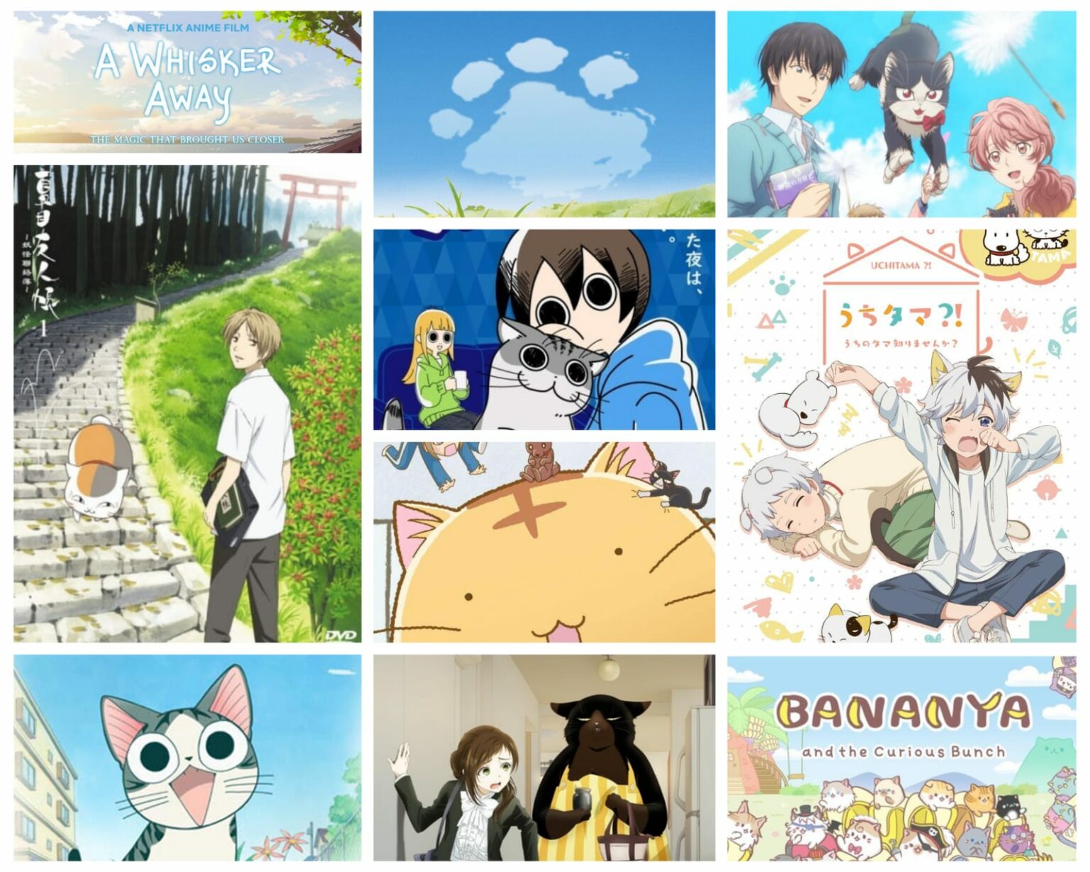 Artikel Rekomendasi Anime Kucing Terbaru dan Terlengkap - TITIP JEPANG