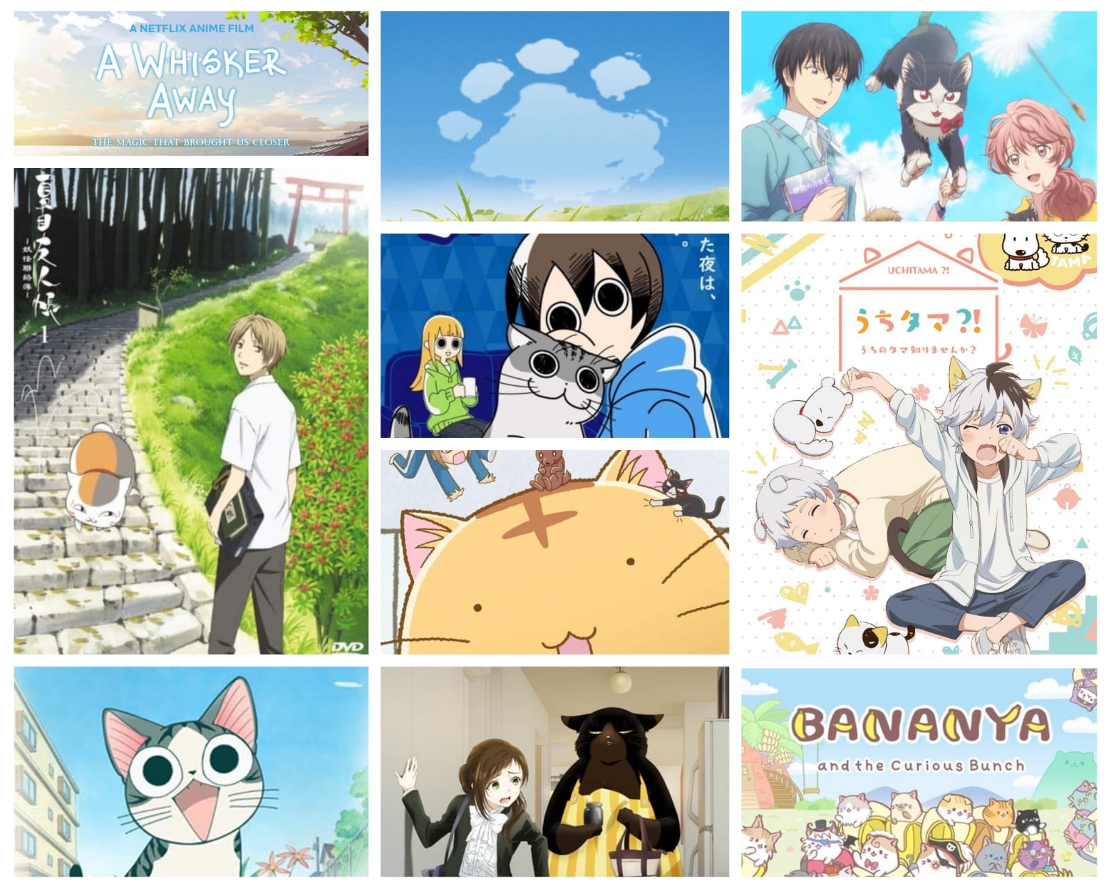 Rekomendasi 10 Anime Kucing Untuk Kamu Para Penyayang Anabul - TITIP JEPANG