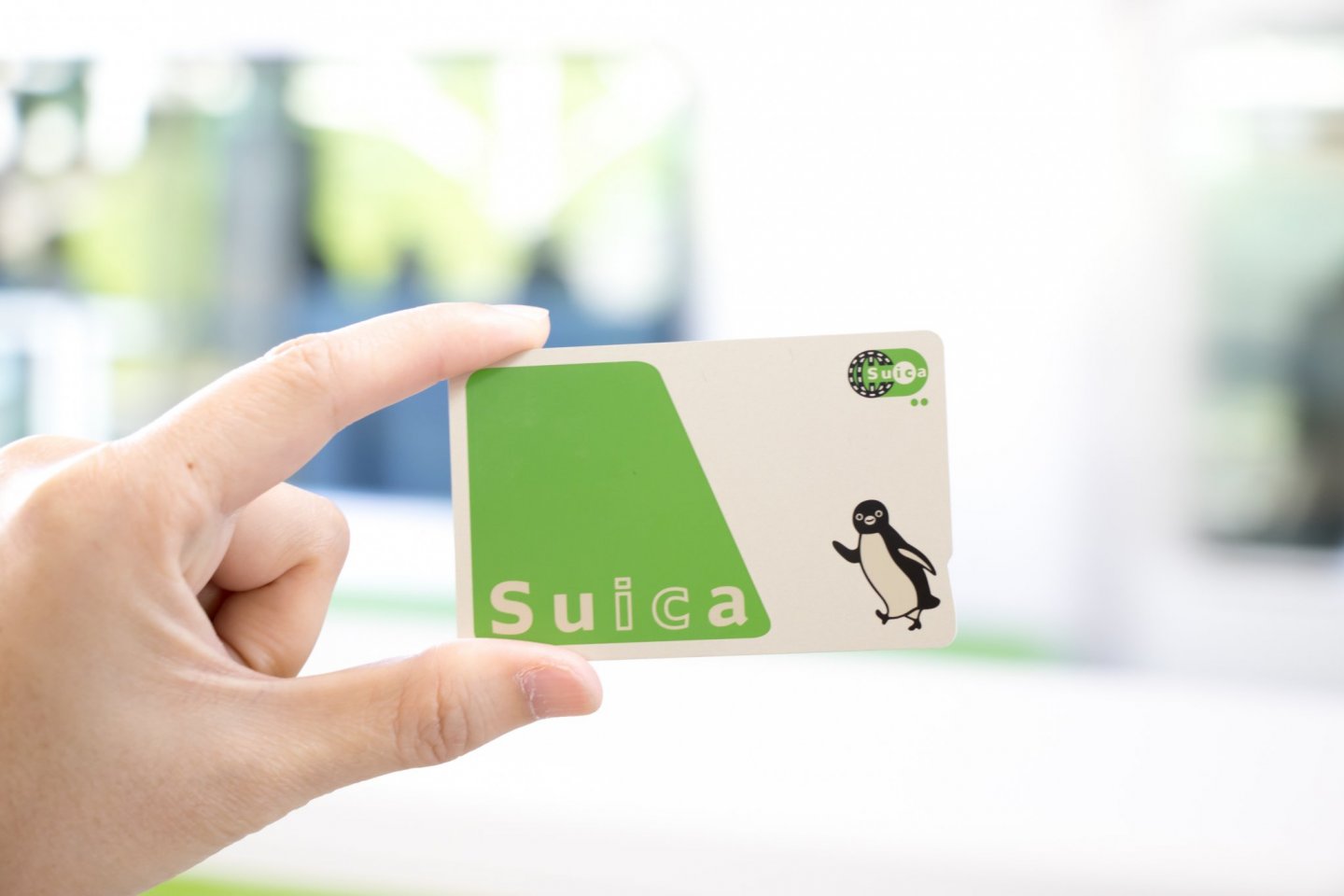 JR East Lanjutkan Produksi Suica Card Musim Gugur 2024 - TITIP JEPANG